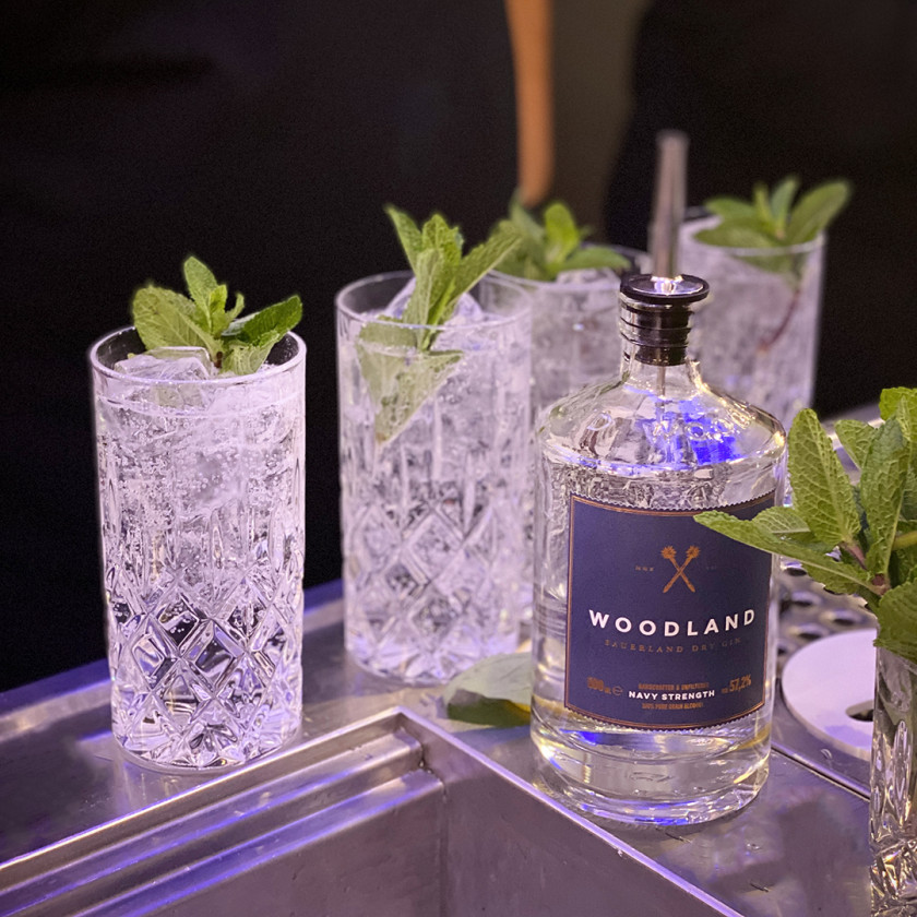 Gin Tasting | Blaue Eule | Iserlohn | 21.03.2025